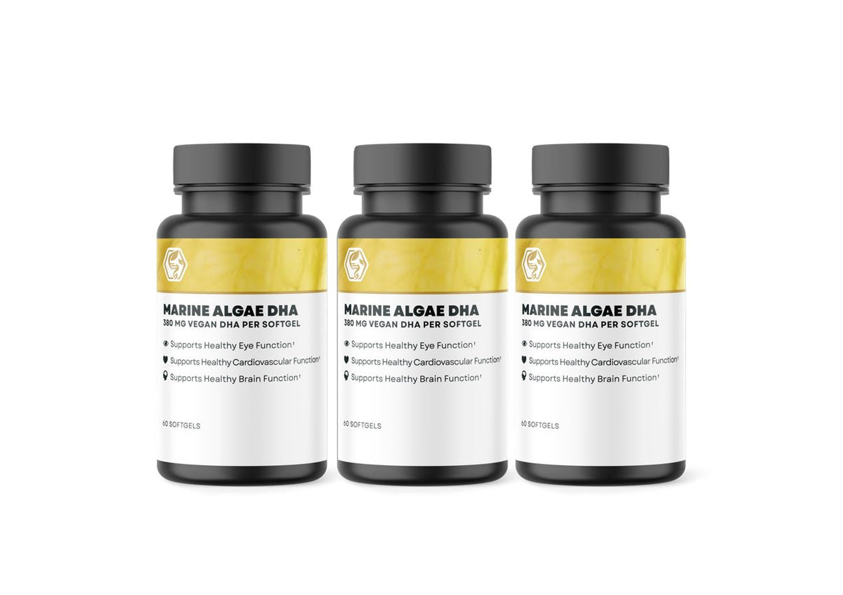Marine Algae DHA 380 mg, 60 ct 3-pack 180 softgels – Intuitive Nutrients